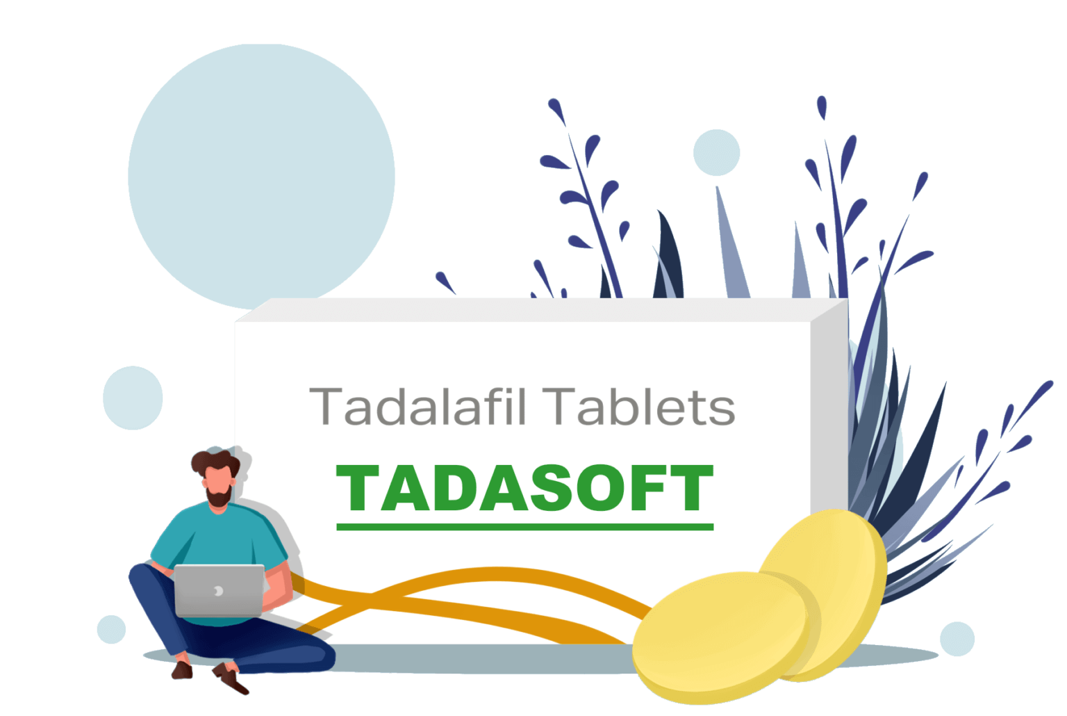 Review of Tadasoft for Beginners [2022] at MoreForce.com